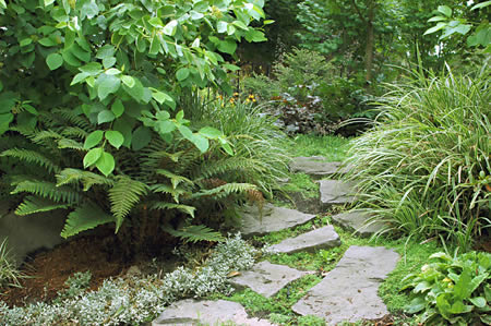 Naturescaping Basics